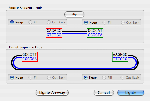 Gateway and TOPO Cloning with MacVector