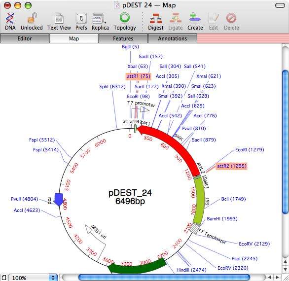 Gateway and TOPO Cloning with MacVector