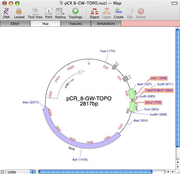 Gateway and TOPO Cloning with MacVector