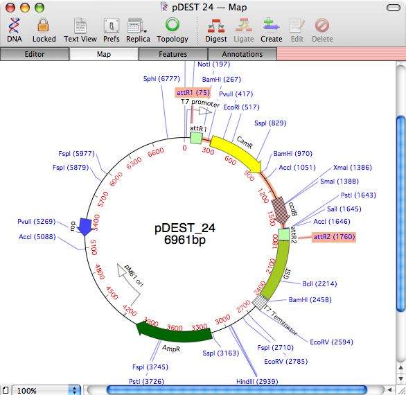 Gateway and TOPO Cloning with MacVector