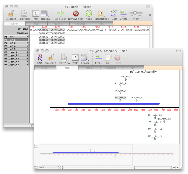 Aligning primers against a template sequence