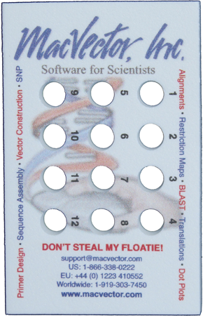 MacVector and upgrading to Lion.