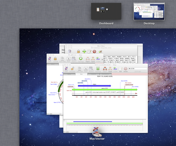 MacVector and upgrading to Lion.