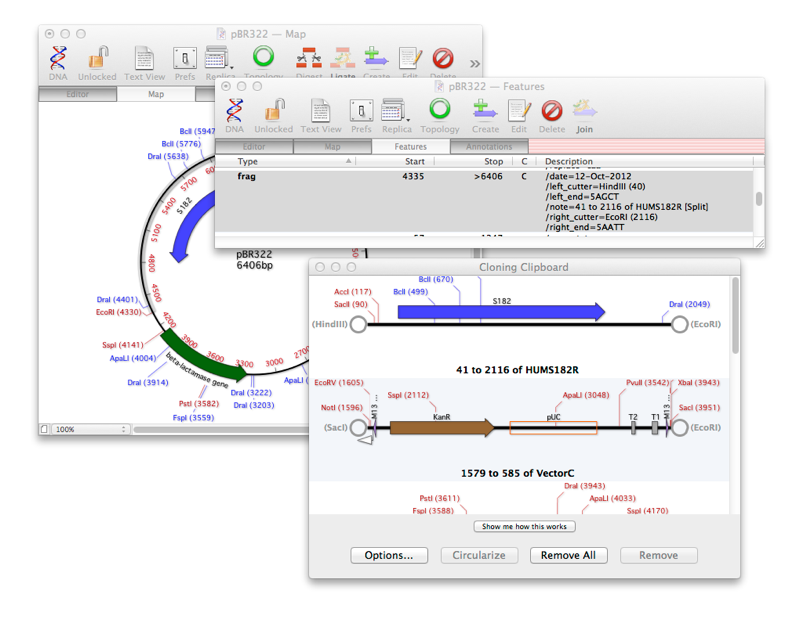 MacVector 12.7 is now out.