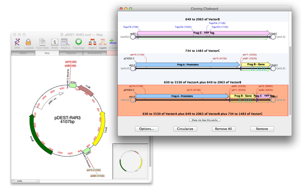 MacVector 12.7 is now out.
