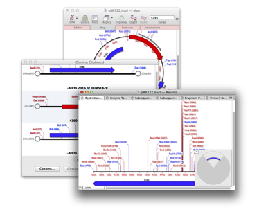MacVector 13’s redesigned results windows