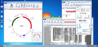 MacVector for Windows