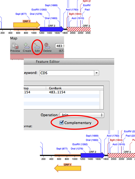 101 things you (maybe) didn’t know about MacVector: #35 – How to make ...