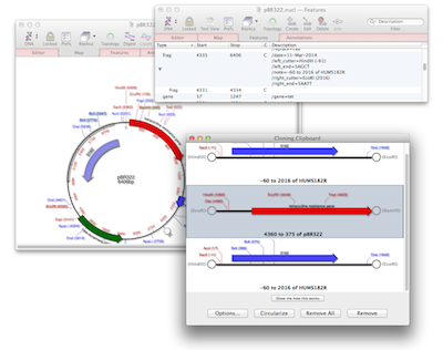 MacVector Cloning Edition