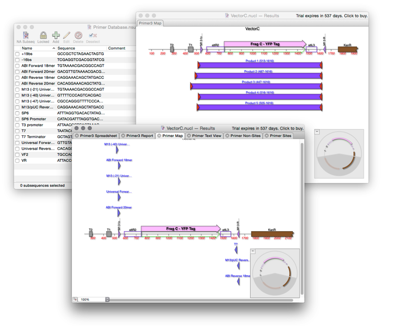 Using the Primer Database to store your lab’s collection of primers