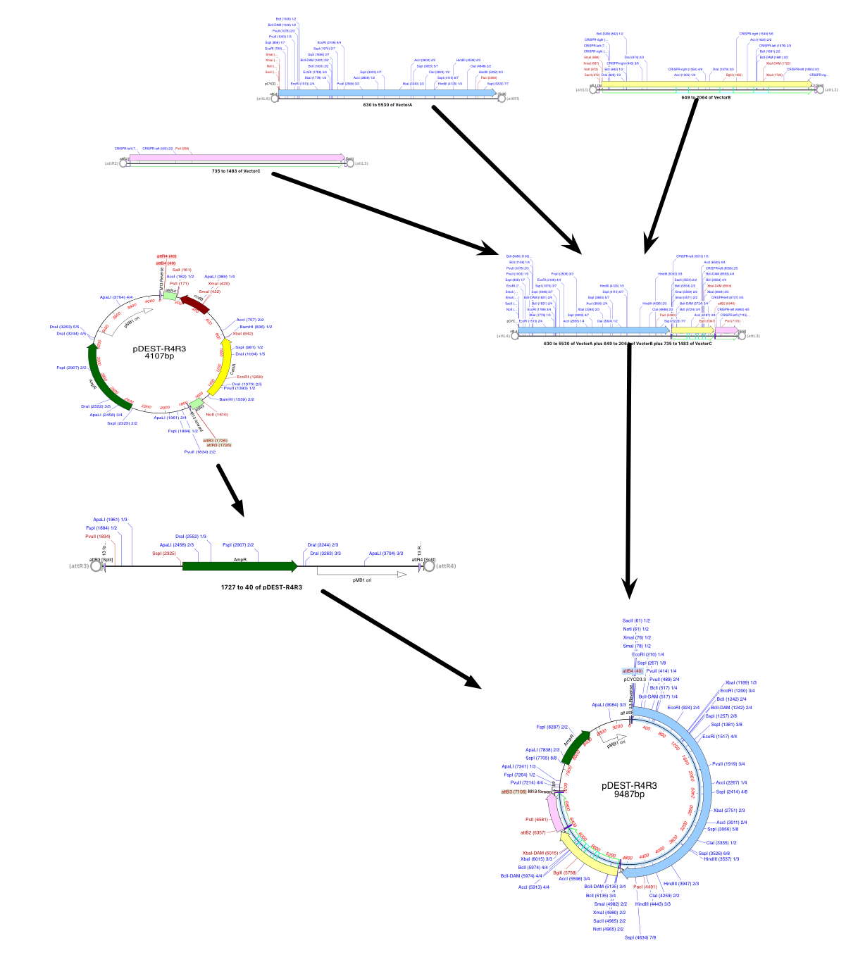 Creating cloning construction flowcharts in third party applications