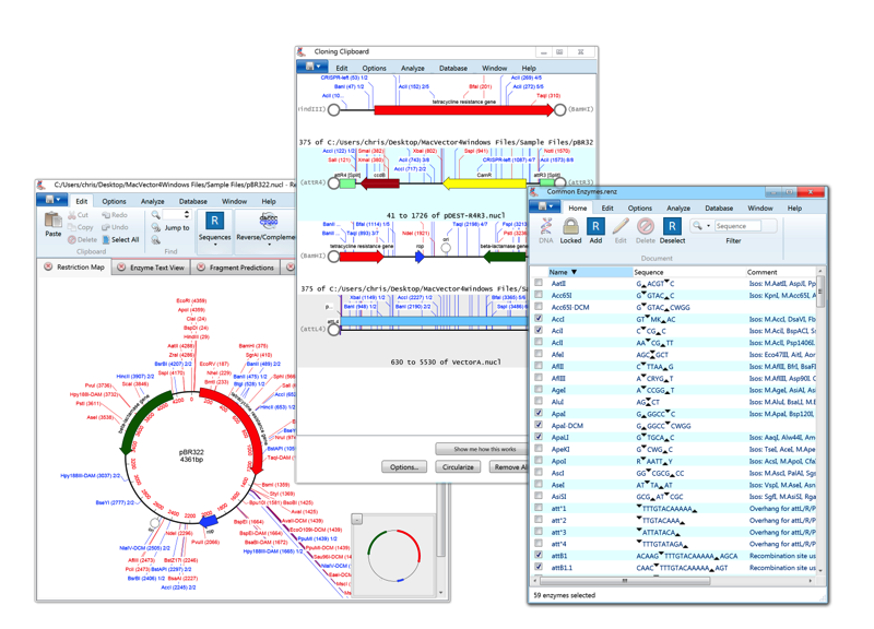 MacVector for Windows: update.