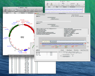 Calculating the melting temperature of PCR primers