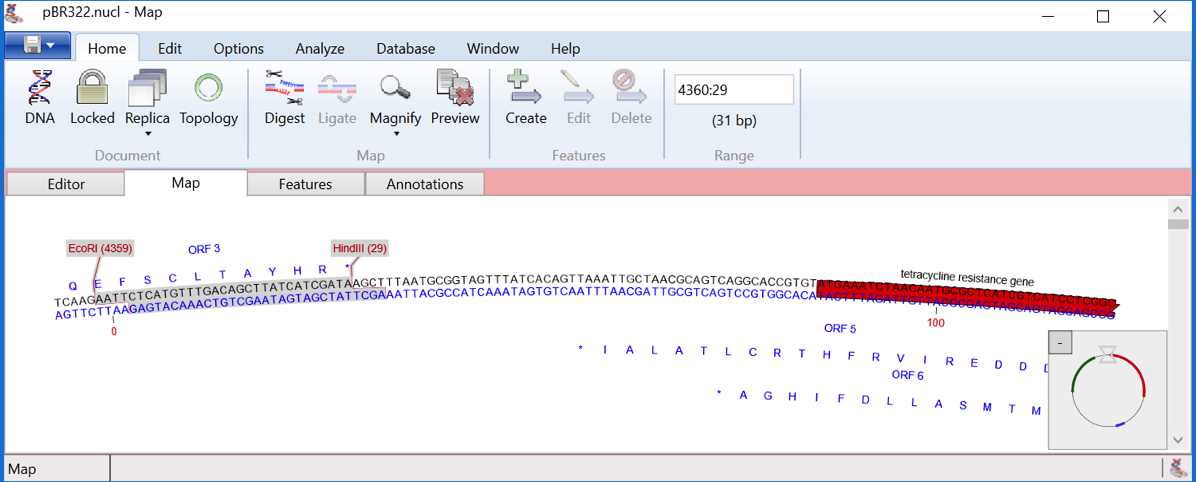 MacVector For Windows update