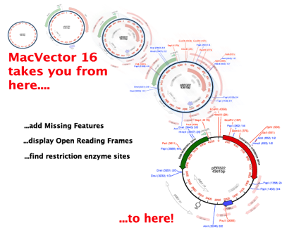 MacVector 16: Our latest release takes automatic sequence annotation to ...