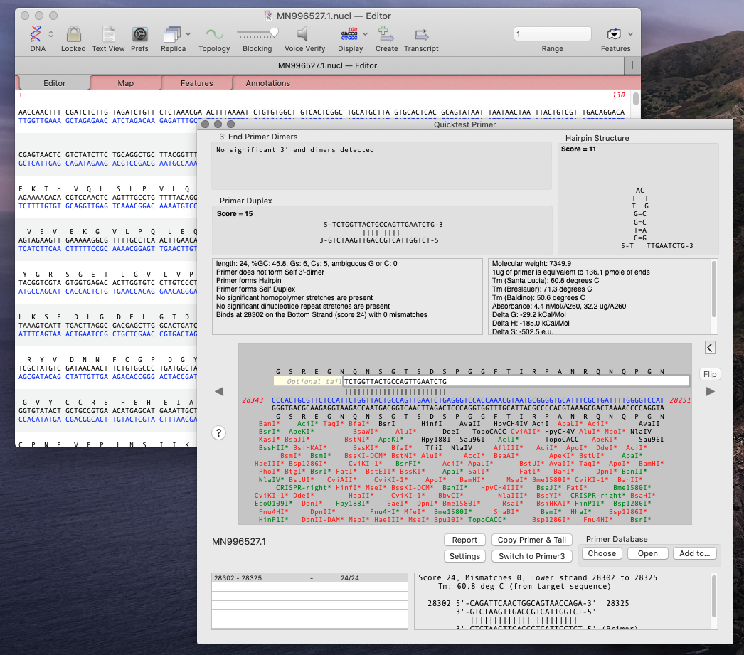 Primer validation with MacVector: Primer3, Covid19 and primer design