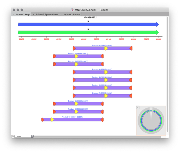 Primer validation with MacVector: Primer3, Covid19 and primer design