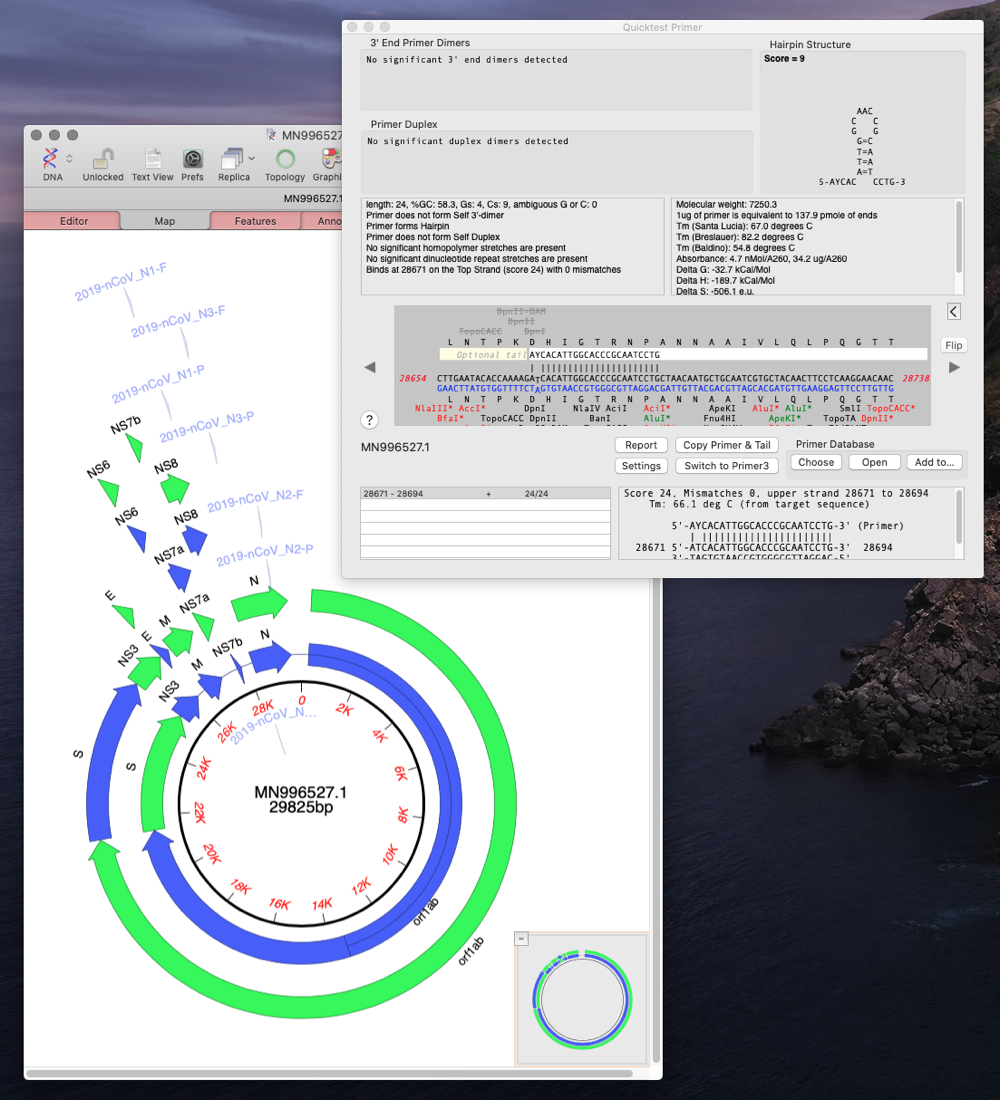 Primer validation with MacVector: Primer3, Covid19 and primer design