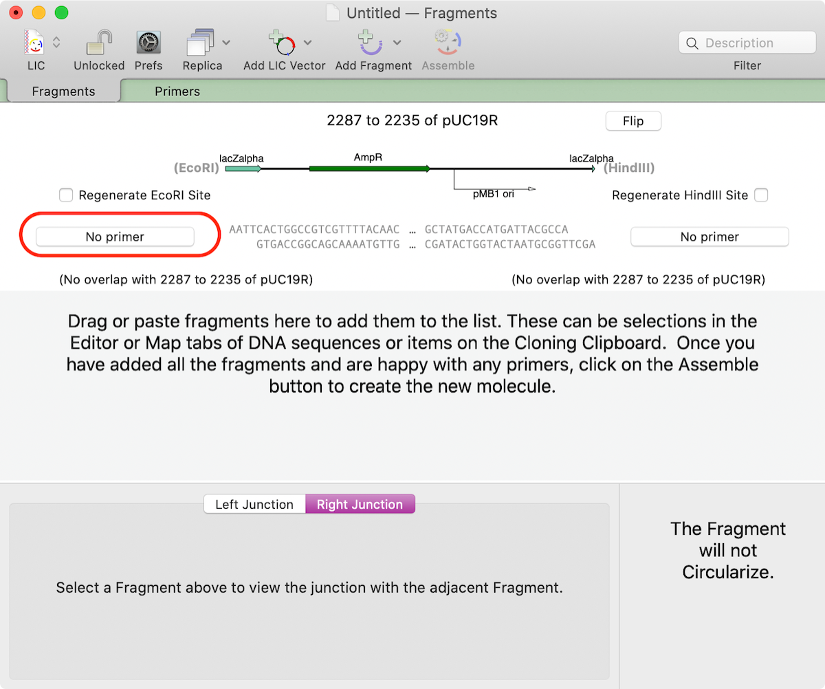 Designing primers and documenting In-Fusion Cloning with MacVector
