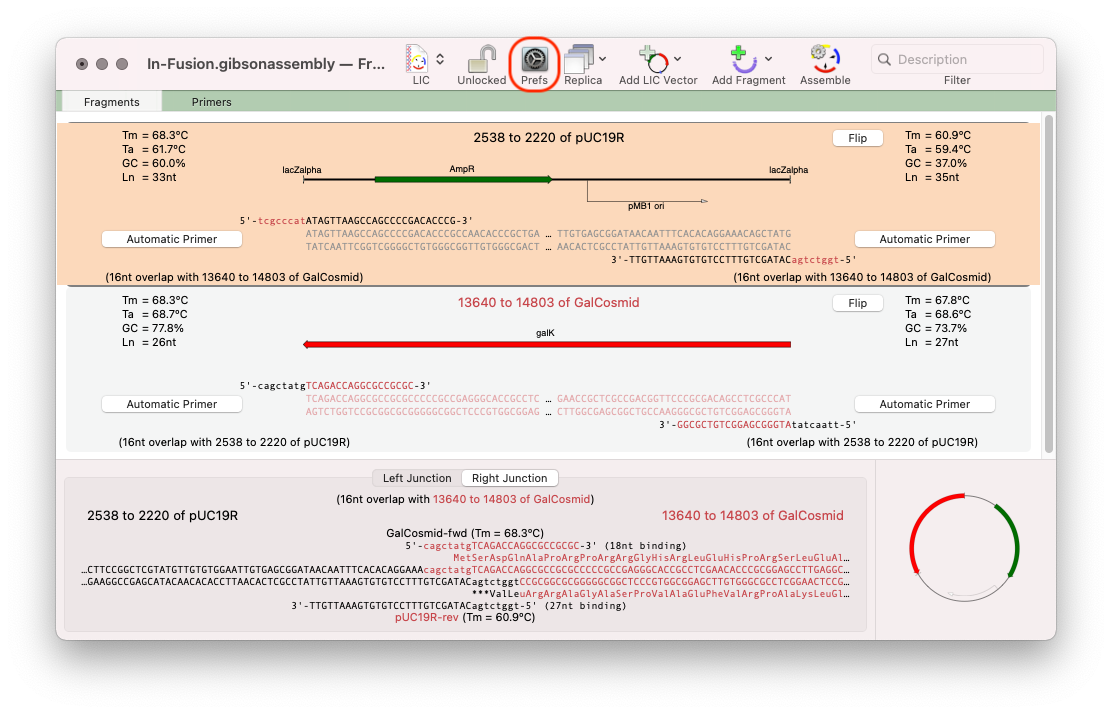 Designing primers and documenting In-Fusion Cloning with MacVector