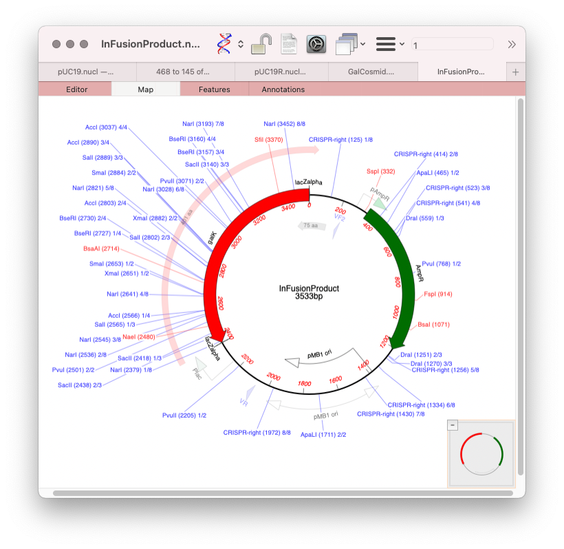 Designing primers and documenting In-Fusion Cloning with MacVector