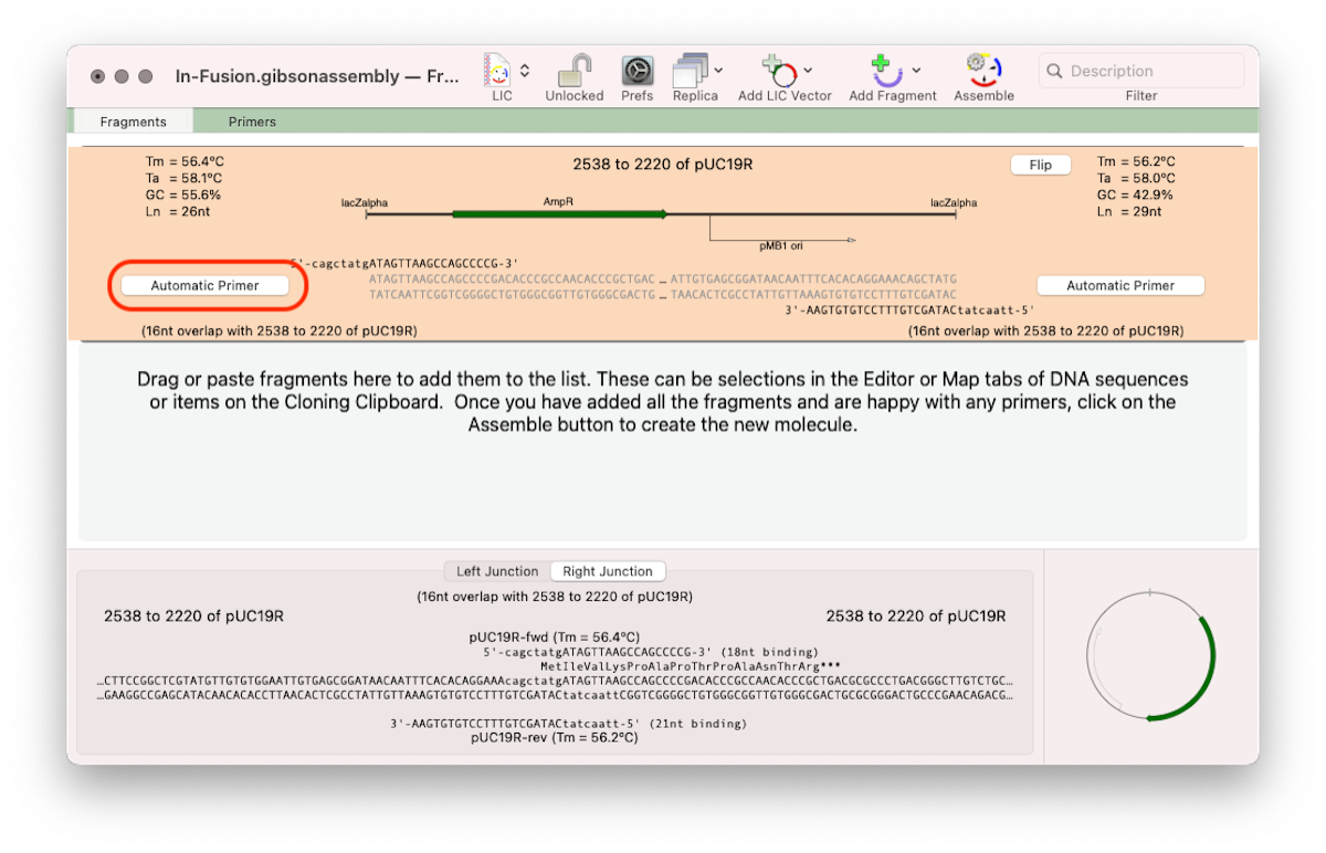 Designing primers and documenting In-Fusion Cloning with MacVector