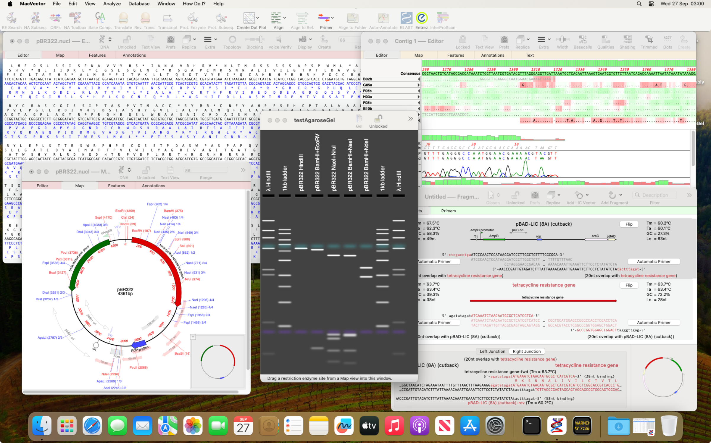 MacVector and macOS Sonoma