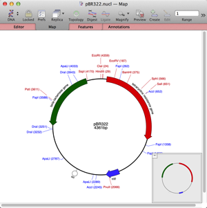 MacVector for Windows