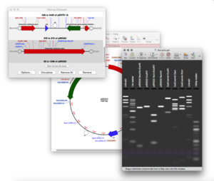 What can MacVector do for my lab?