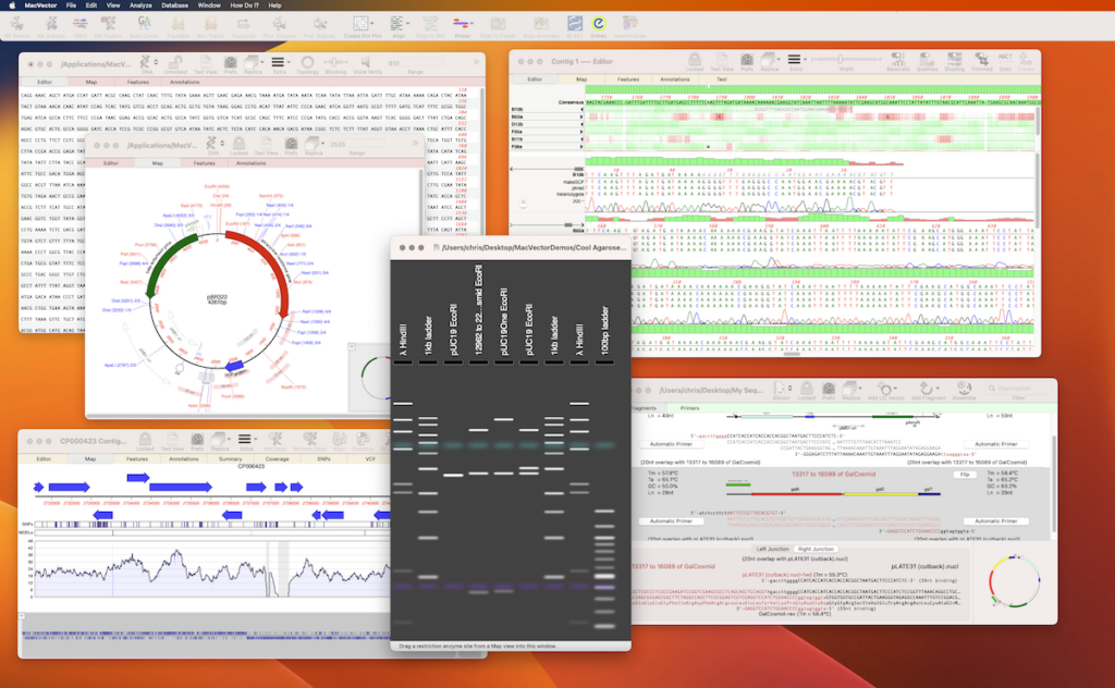 MacVector 18.5 is macOS Ventura ready