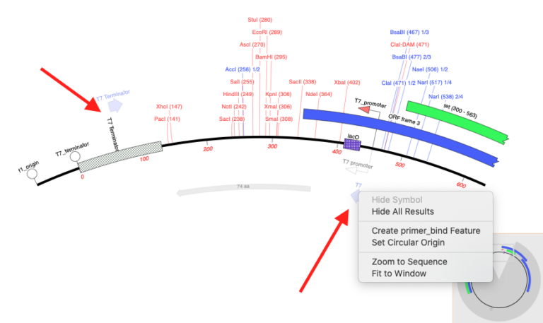 Workflows for the molecular biologist