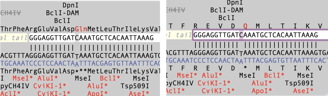 MacVectorTip: How to Toggle Between Single-Letter and Three-Letter ...